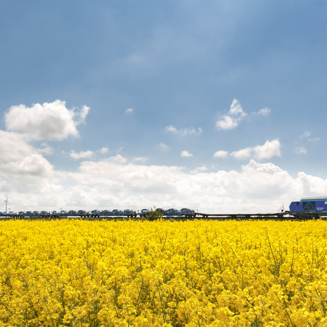 Der blaue AUTOZUG Sylt | Ab 19,90 € ⇒ Tickets und Preise