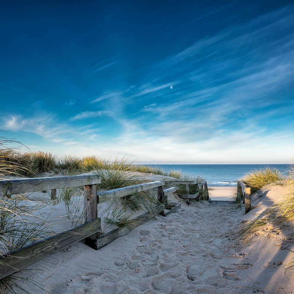 Der blaue AUTOZUG Sylt | Ab 19,90 € ⇒ Tickets und Preise